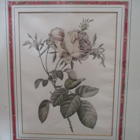 Handmade | Art | Vintage Antique Pj Redoute Botanical Floral Framed ...